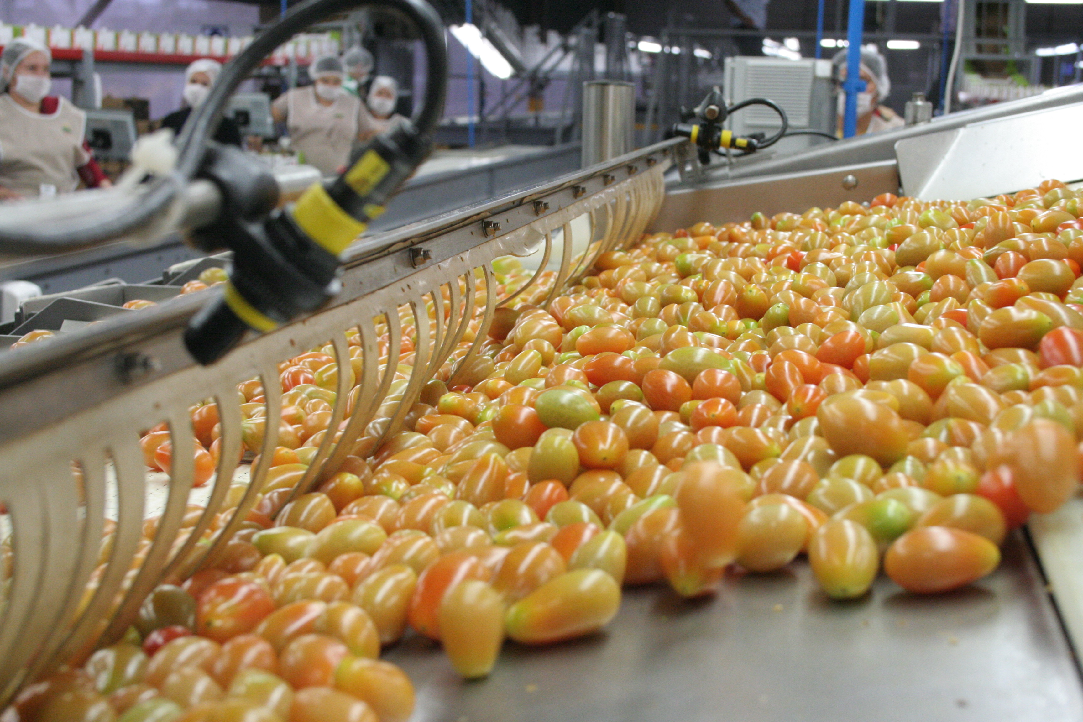 About us – Eleven Rivers